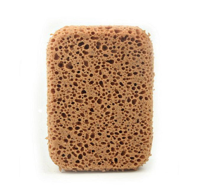 Buy Hydrophilic Foam Wash Sponge | Aerolon Professional Detailing Products